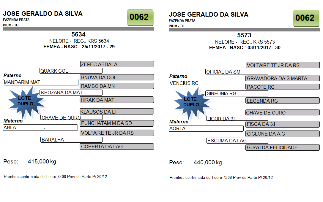 Lote 062-2 NOVILHAS NELORE PRENHES RGN KRS 5573/5634 - FAZENDA PRATA - TV Arroba